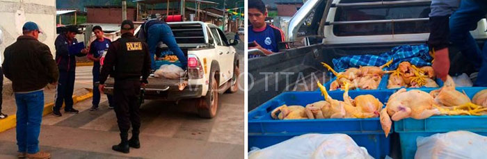 Decomisan pollos en mal estado listos para ser vendidos